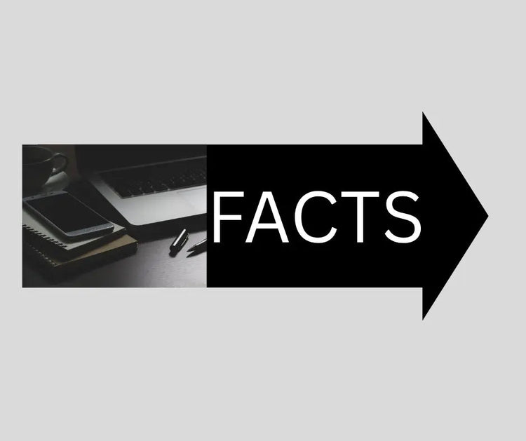 Interesting Facts About the iPhone You Didn’t Know | WayCase